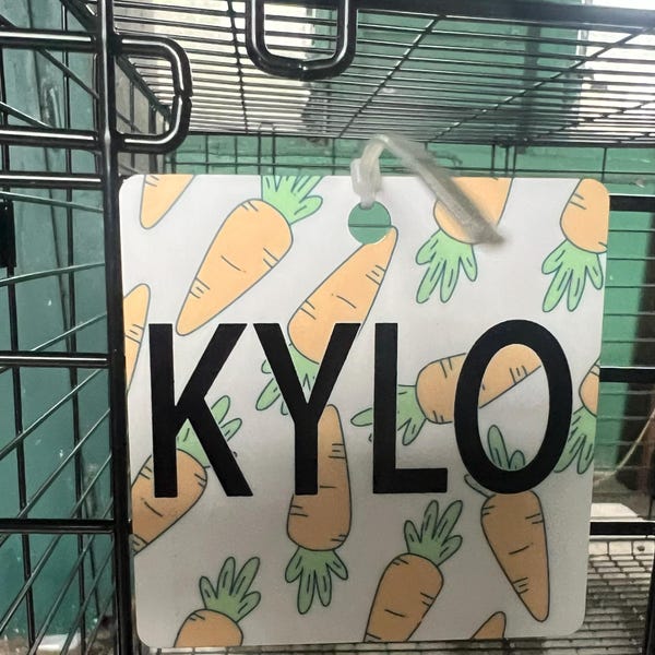 Floral Wheelchair Mobility Scooter Walker Elderly Custom Mini Aluminum ...