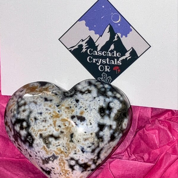 Rare Piece of Pacific Fission Worm Colony, False Brain Coral Rock ...