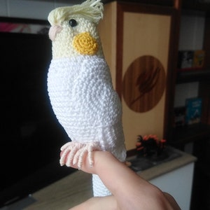 Crochet Parrot DIY Pattern Easy Tutorial PDF Amigurumi | Etsy Canada