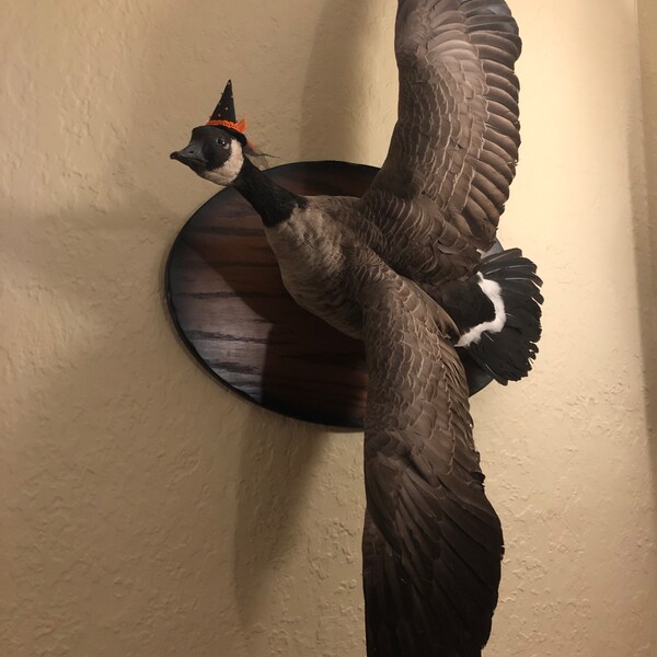 Savanna Themed Bookmarks, Bookish Gift, Fabric Bookmarks, African ...