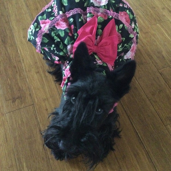 Special Occasion Party Dog Dresses for Small Breed Dog, Designer Dog ...
