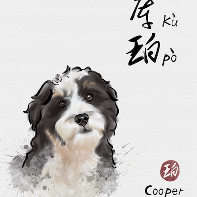 Your Pet's Name in Chinese Characters.unique Gift.custom Pet Portrait ...