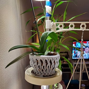 Mason Bee Clay Organic Natural Clay for Mud Box or Clay | Etsy