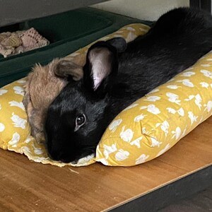 Bunny Snug Bed | Etsy