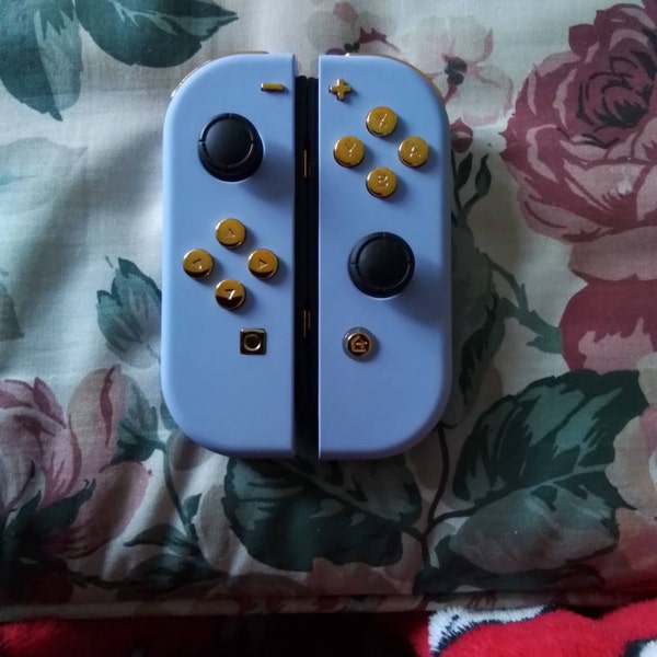 Clear With Clear Buttons Custom Joycons - Etsy