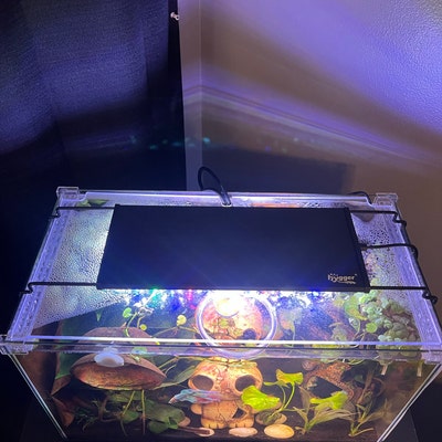 10 Gallon Aquarium Lid Reversible for Hang on Back Filters - Etsy