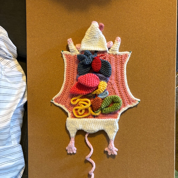 Crochet Rat Dissection Pattern, PDF Digital Download, Biology Amigurumi ...