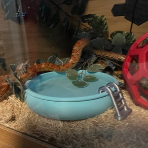 Reptile Climbing Ramp, Bearded Dragon Basking Platform, Rock Wall ...