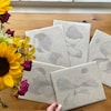 Unusual Gift 5 Sprouting Seed Faces Plantable Paper With Edible Sprouts ...