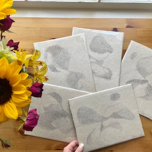 Unusual Gift 5 Sprouting Seed Faces Plantable Paper With Edible Sprouts ...