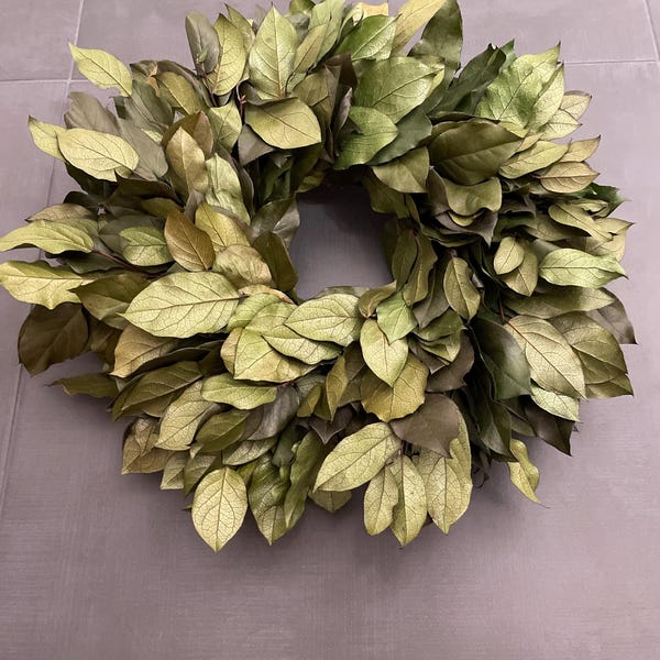 16" Light Pink Billy Buttons, Pink Dried Craspedia, Pink Billy Balls ...