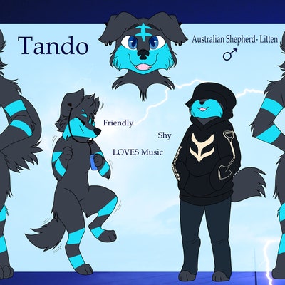 Complex Furry Reference Sheet - Etsy