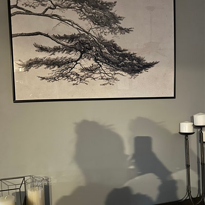 Pine Tree Branch Print, Vintage Tree Drawing Enhanced, Printable Tree ...