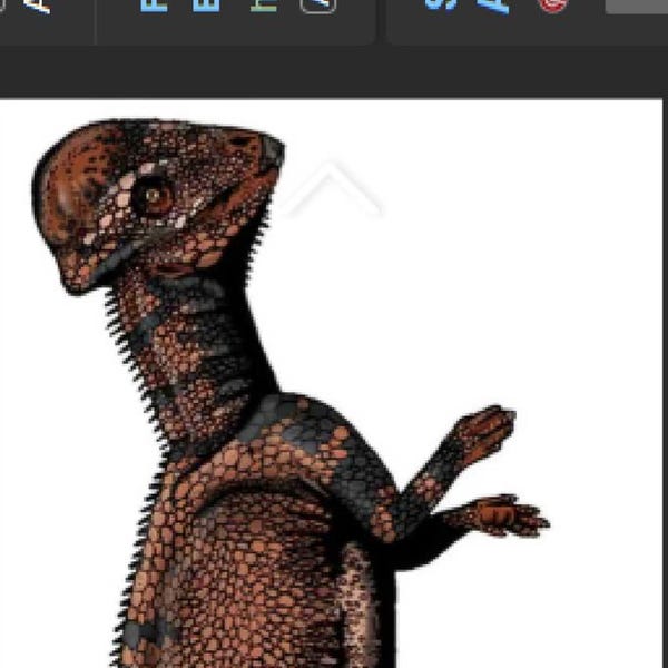 32 Forest Animals Flashcards, Kids Printable, Nomenclature Cards ...