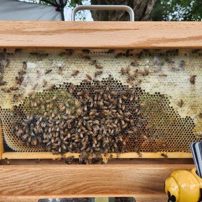 Ultimate Beekeepers Tool Box Personalized Bee Tool Box - Etsy