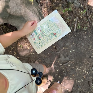 Congrats! Frog on Mushroom Card - Congratulations Greeting Card - Happy ...