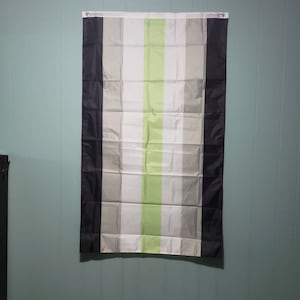 DIGITAL FILE: Printable Extended Pride Flag Reference Guide Includes ...