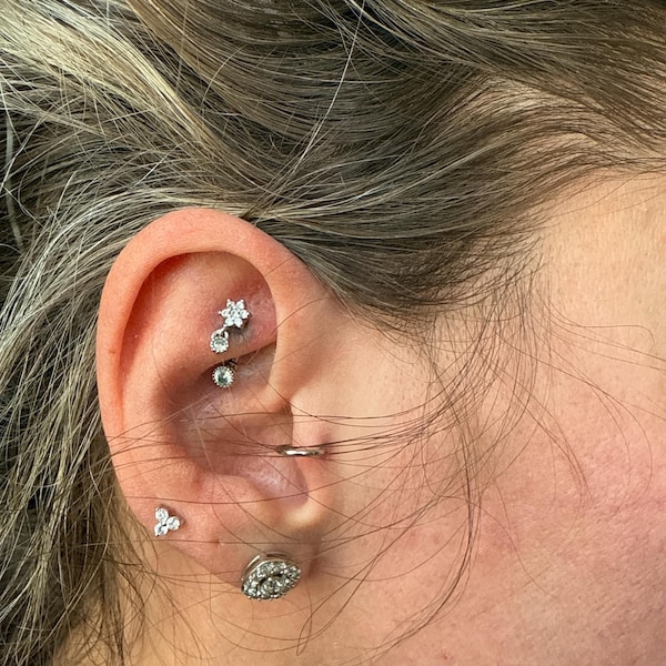 16G Abalone Shell Moth Septum Ring/hinged Segment Septum Clicker/daith ...