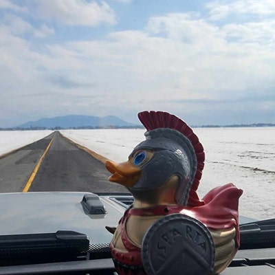 Traditional Greek Soldier Rubber Duck, Vinyl Duckling, Unique Uniform ...