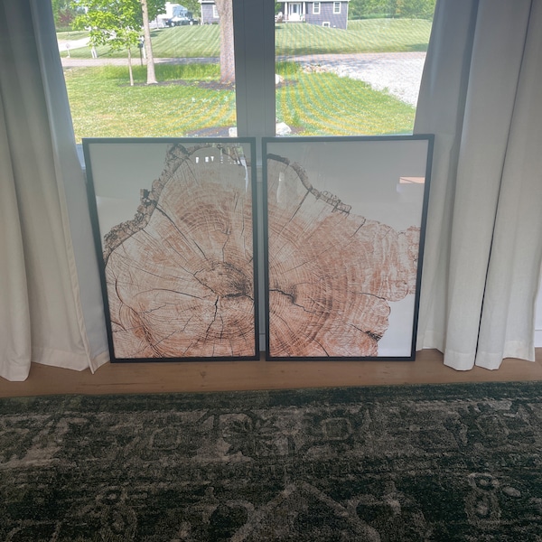 TREE RING ART Print, Tree Ring Print, Set of 6 Prints, Log Print Tree ...