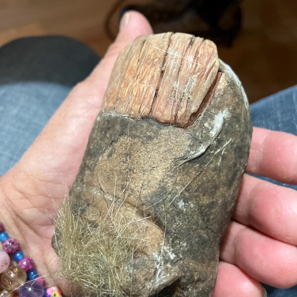 Mummified Pygmy Warrior - Etsy