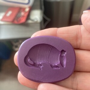 Armadillo Western Animal Mold Silicone Mold Polymer Clay Resin Fondant ...