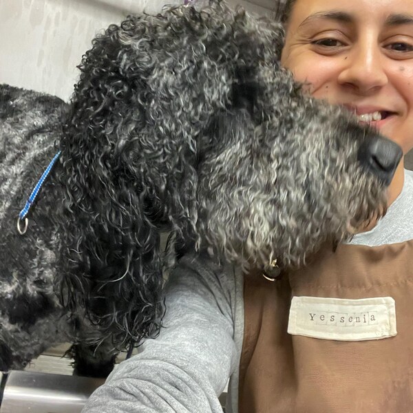 Price Increase Notice Template Hair Salon Business Form Price List ...