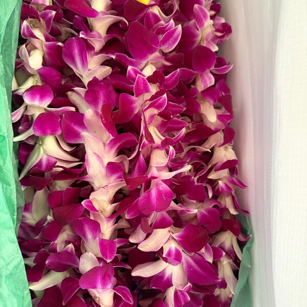 Hawaiian Lei - Fresh Purple Orchid Lei, Real Flower Lei, Shipped Fresh ...