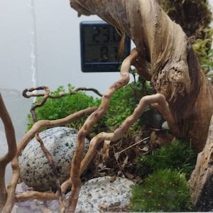 BONSAI MOUNTAIN ROCKS Premium Decorative Bonsai Rocks Terrarium ...