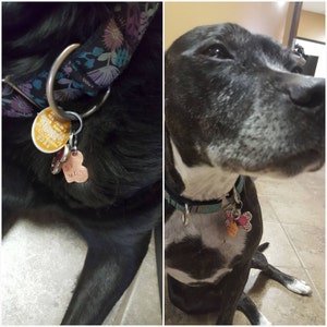 Frenemies Dog Tag Set LARGE Dog Tags Keychains Unique | Etsy