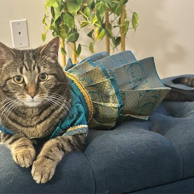 Furvilla Ethnic Pattu Saree Pink Color Saree for Cats & Dogs - Etsy