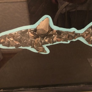 Make Yer Own Shark Art Kit Reef Shark | Etsy