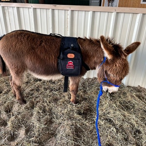 Miniature Horse and Donkey Backpacks Custom Patches and Accessories - Etsy