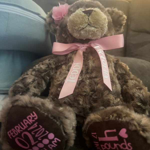 Teddy Bear Birth Stats Stuffed Animal, Personalized Plush Bear Birth ...