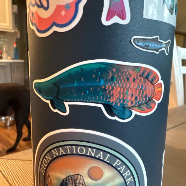 Domestic Silk Moth Stickers! (venezuelan Poodle Moth) - Etsy