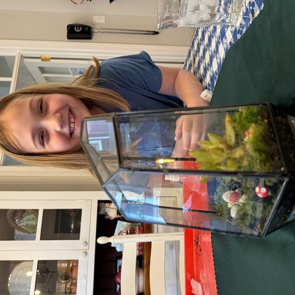 Large Terrarium Kit DIY / Live Moss / Tropical Plant, Bioactive ...