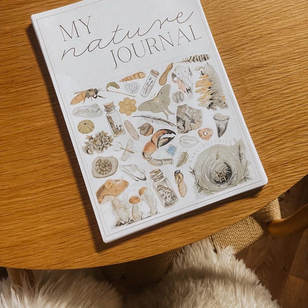 TURKEY ANATOMY 2 Part Vocabulary Cards Plus Poster - Etsy