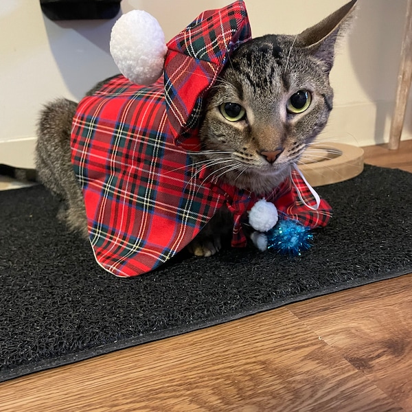 Beret and Cape for Pets, 2 Piece Costume for Cats and Dogs, Pet Cloak ...