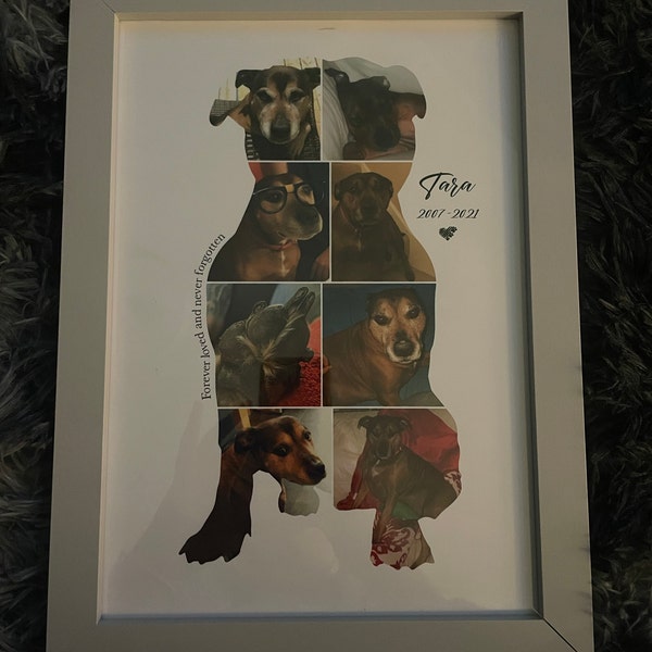 Staffordshire Bull Terrier Photo Collage Print: Personalized Pet ...