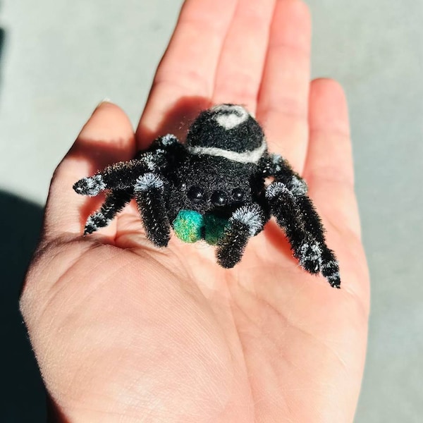 Needle Felted Jumping Spider Sculpture, Poseable Wool Toy - Etsy