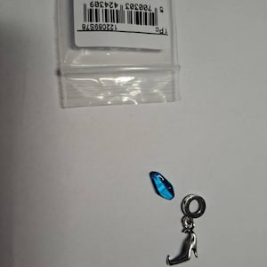 100th Anniversary Cinderella's Enchanted Charm,sliver Bracelet Charms ...