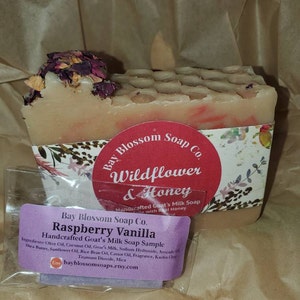 Mini Guest Soap Set of 10 Assorted Soaps, Guest Soap Gift Set, Soap Set ...