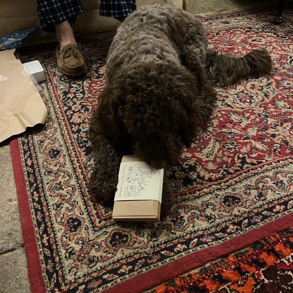 Customized Box of Dog Treats - Dog Gift Box - Puppy Treats - Doggy ...