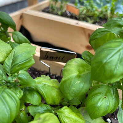 Modern Boho Literacy Center Rotation Cards, Reading Centers, Pocket ...