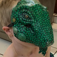 Preying Mantis Mask, Insect Mask, Mask, Cosplay, Bug,paper Mache ...