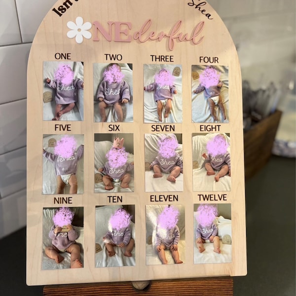 Silly Goose Cake Topper First Birthday Cake Topper Second Birthday ...