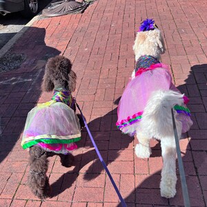 Star Spangled Girl Dog Harness Dress Xxsmall to 4xlarge Dog - Etsy