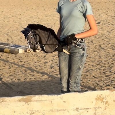 A4 SMALL Size Hobby Horse CARAMEL Premium With Bridle, and Bit - Etsy