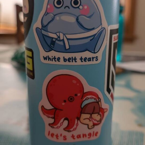 Cute Jiu Jitsu Stickers | BJJ, MMA, Grappling Art - Etsy