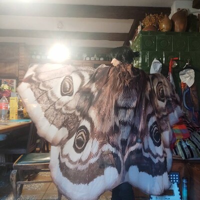 Moth Wings Costume Butterfly Cape Fairy Wings Festival Clothing Burning ...